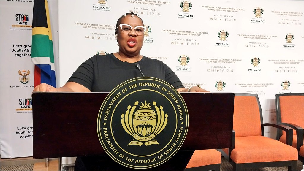 Dr Kolisa Sinyanya Represents Ulwazi at the South African Parliament’s ...